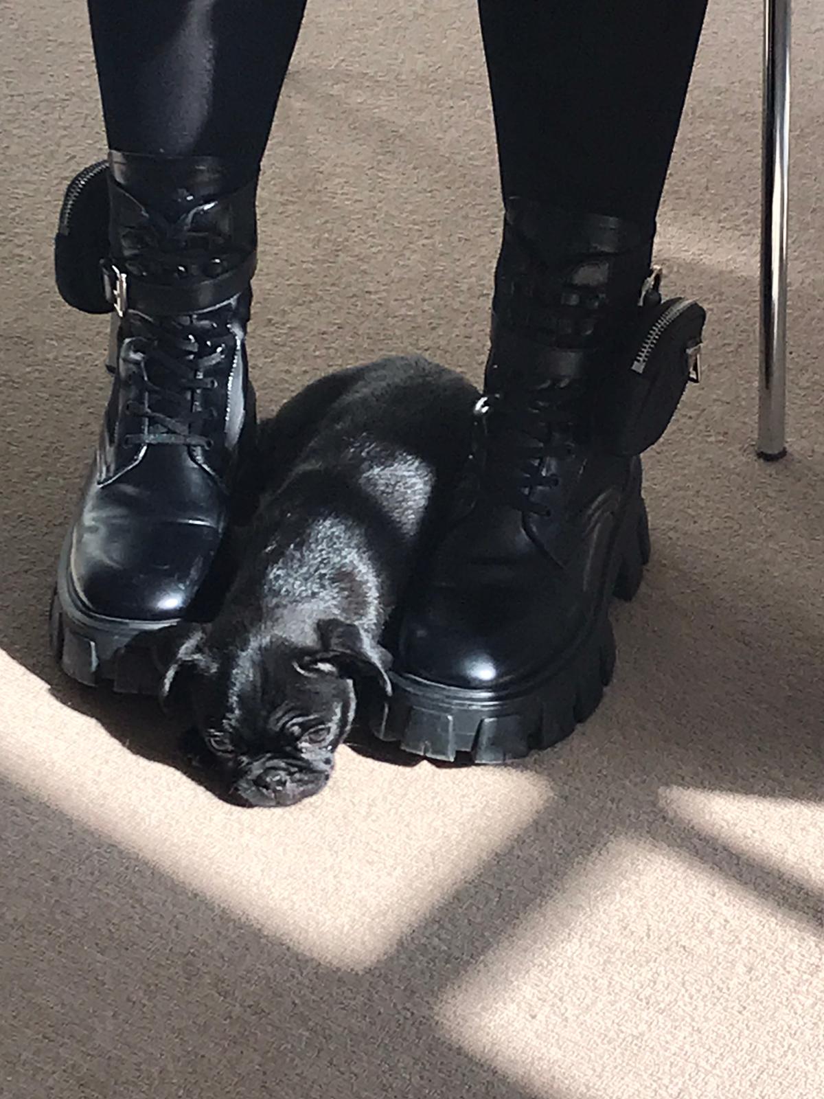 Eine neue Mitarbeiterin – meusel healthcare